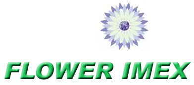 Wholesaler - Farm Direct - Ultimate Floral Industry Supply Guide